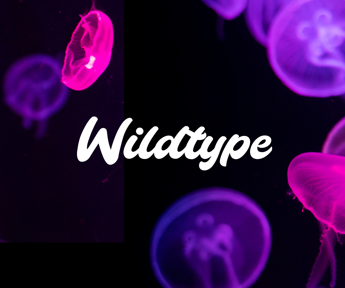 Wildtype | Healthcare Advertising, Reimagined